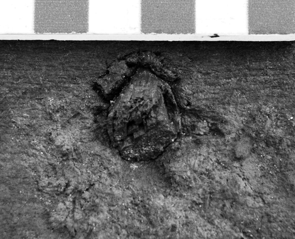 Stella 1 (1st c. AD) – The Nautical Archaeology Digital Library